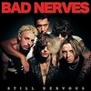Still Nervous - Studio Album by Bad Nerves (2024)