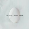 A Ghost Is Born (Expanded Edition) - Studio Album by Wilco (2025)