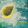 Listen to Haven - Flook - online music streaming