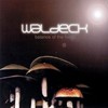 Balance of the Force - Studio Album by Waldeck (1999)